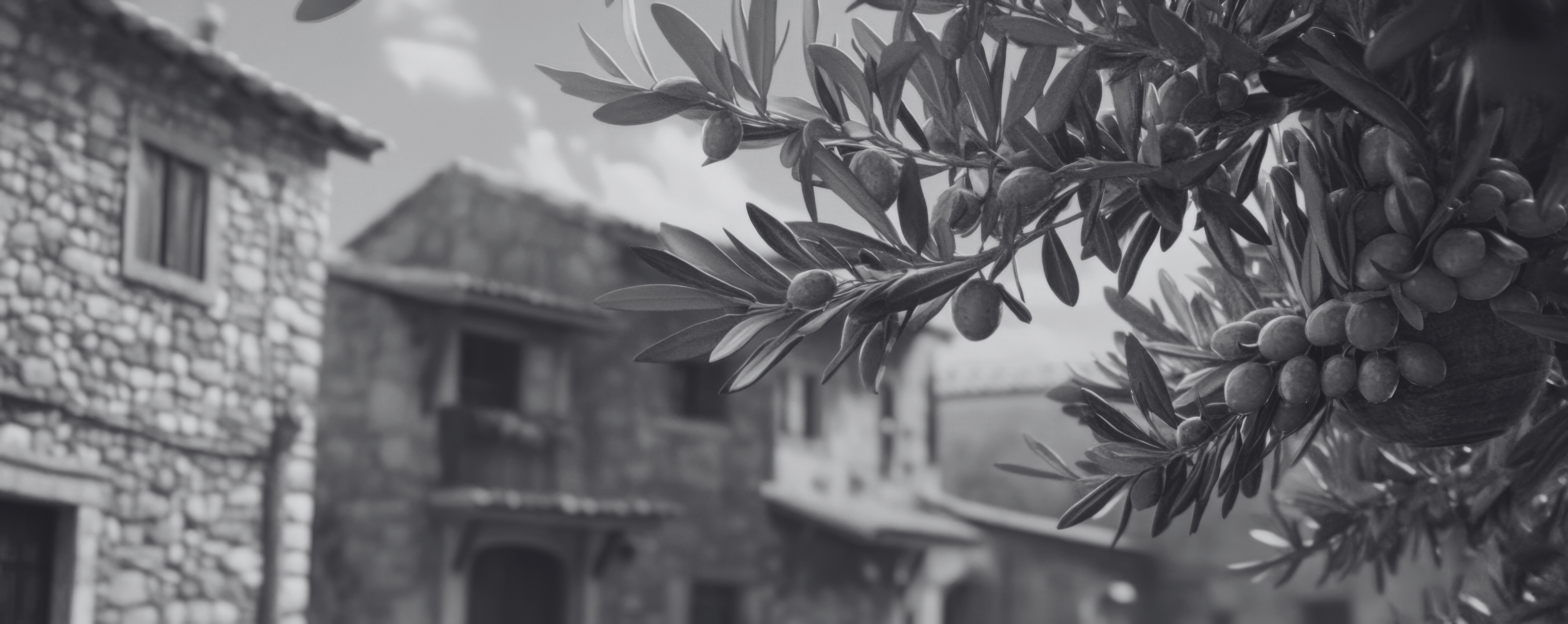 The History of Olive Oil: From Ancient Origins to Modern Uses | Catania ...